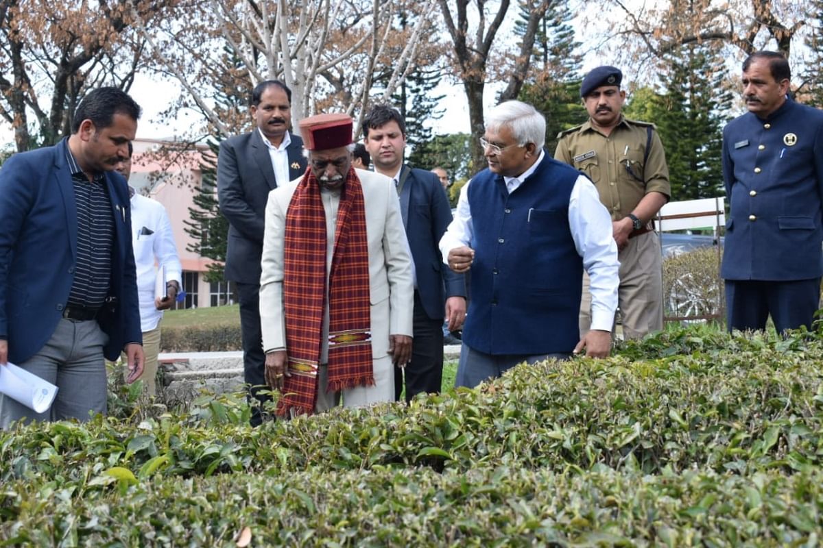 Asafoetida or Heeng cultivation has been introduced by CSIR-IHBT in the ...