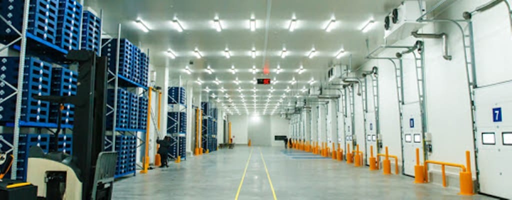 Cold Storage: A Step by Step Guide for Setting Up A Cold Storage ...
