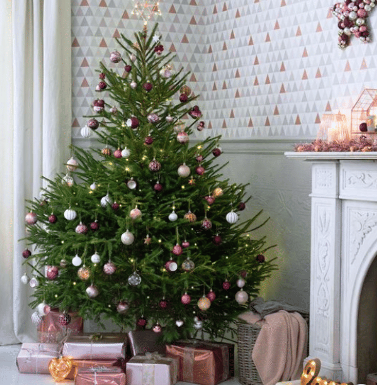 10 Interesting Facts You Must Know About 'Christmas Tree'