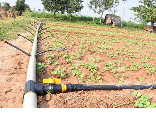 Drip Irrigation emerges to unravel Paddy Problem