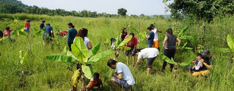 Community Farming introduced to help local villagers earn good income