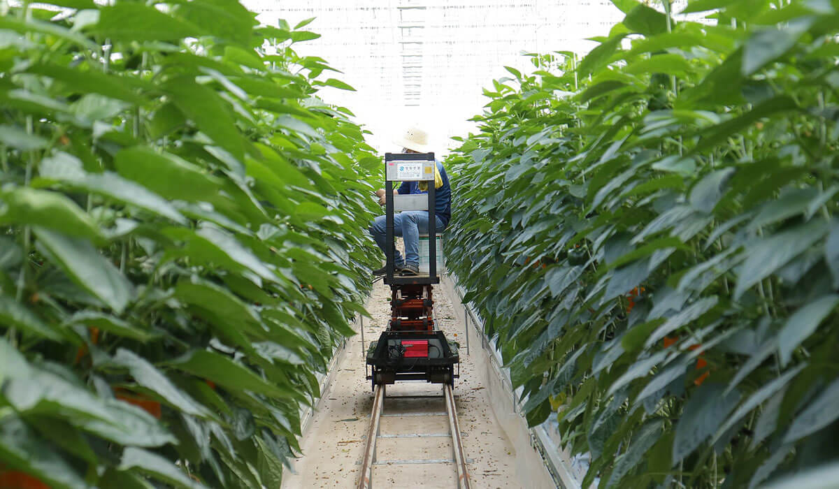 4 Agritech platforms that are helping Farmers with Smart Farming ...