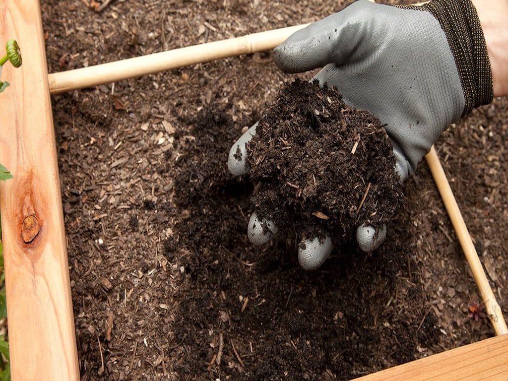 5 Reasons Why You Must Use Organic Compost on Terrace Garden