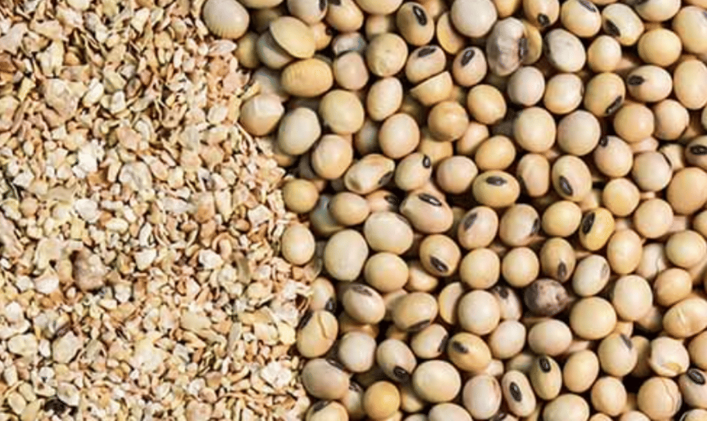 Launch of Soymeal Futures at NCDEX – A value addition to Soy complex basket