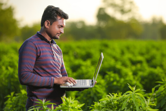 How to Check PMFBY Status and Other Details Online