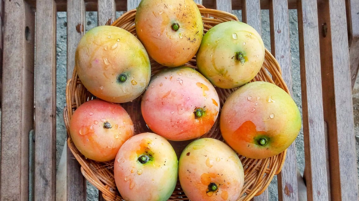 Astonishing Health Benefits & Nutritional Value of Mango