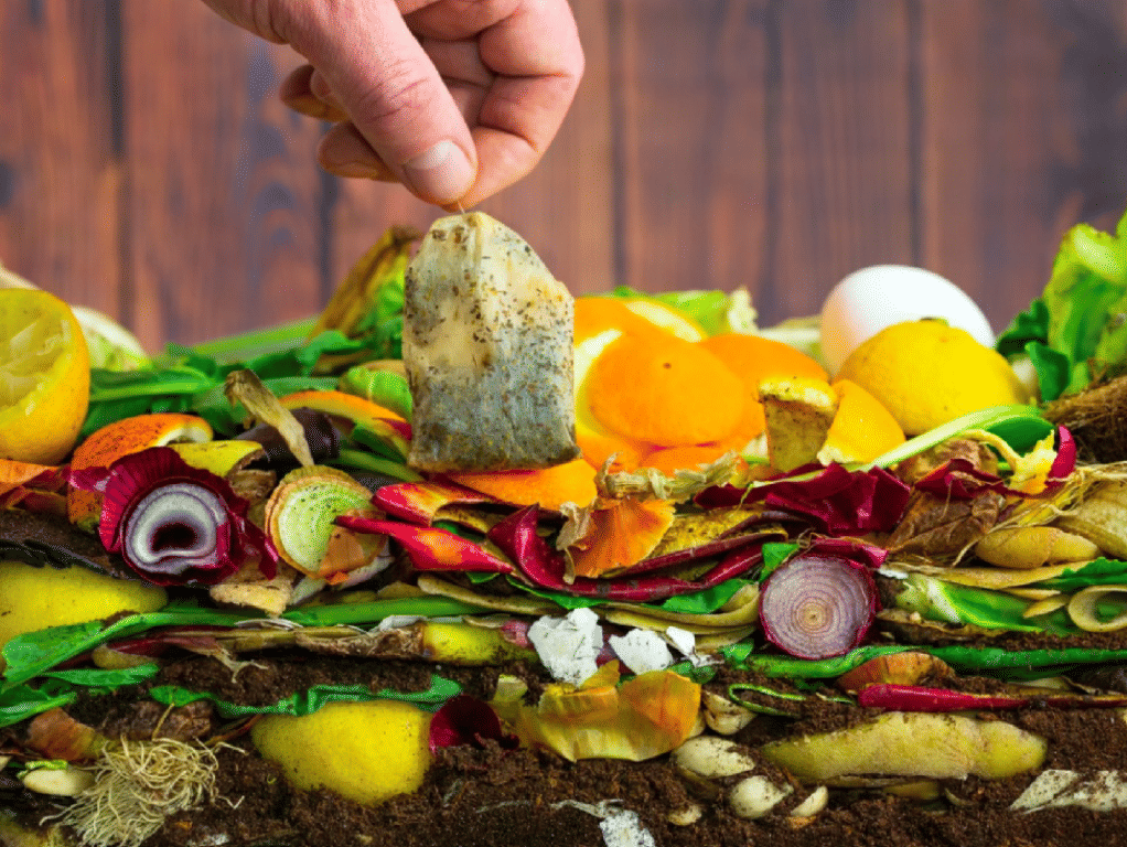 Eight Exclusive Ideas to Reuse Your Tea Bags