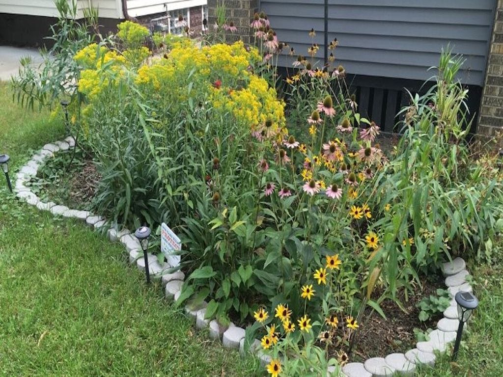 What is a Rain Garden and How you can make one?