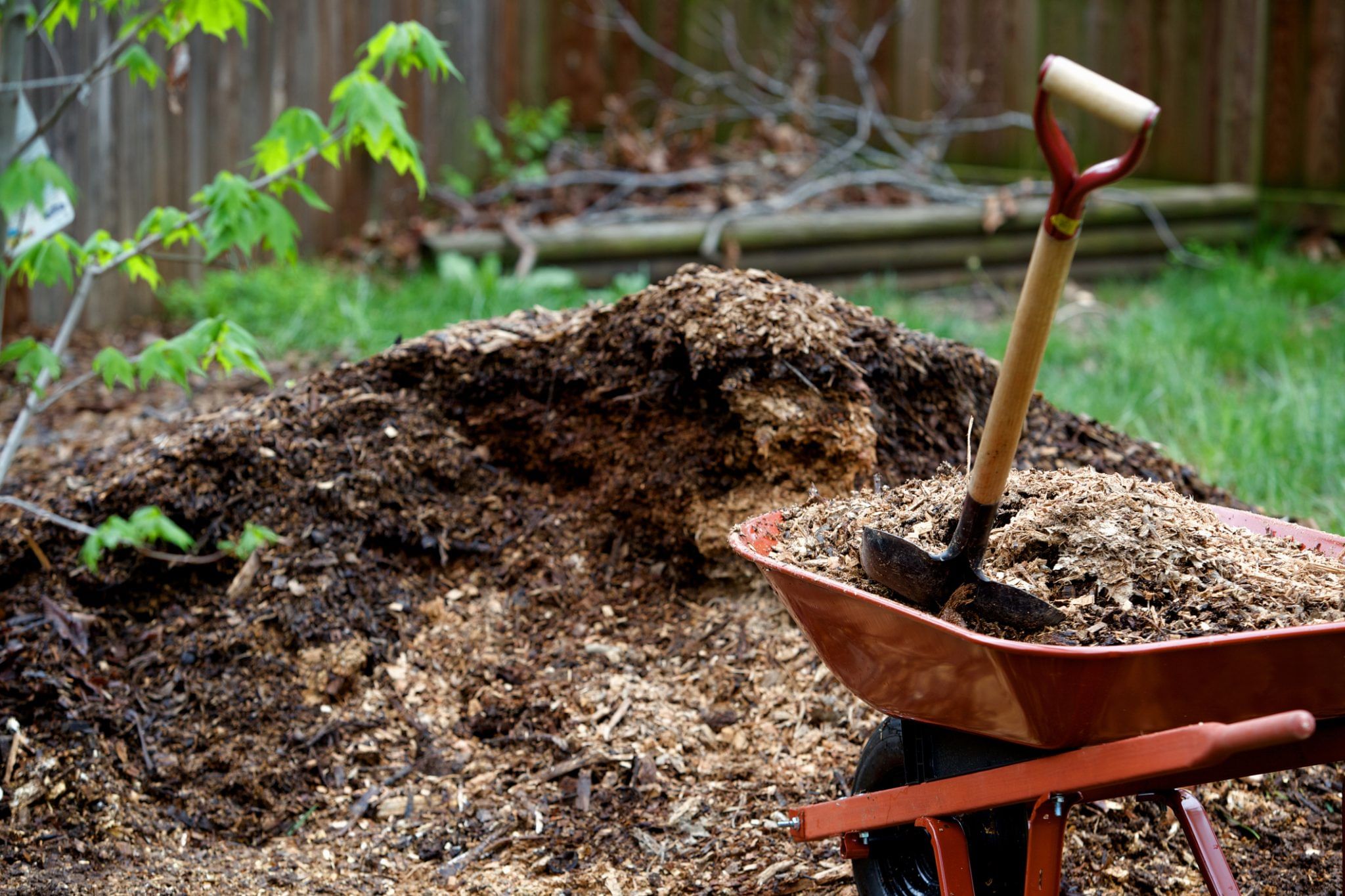 Convert Dry Leaves into Free Compost for your Garden