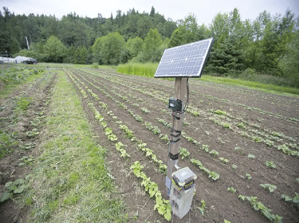 A combined pilot project of Agriculture Ministry and Microsoft to ...