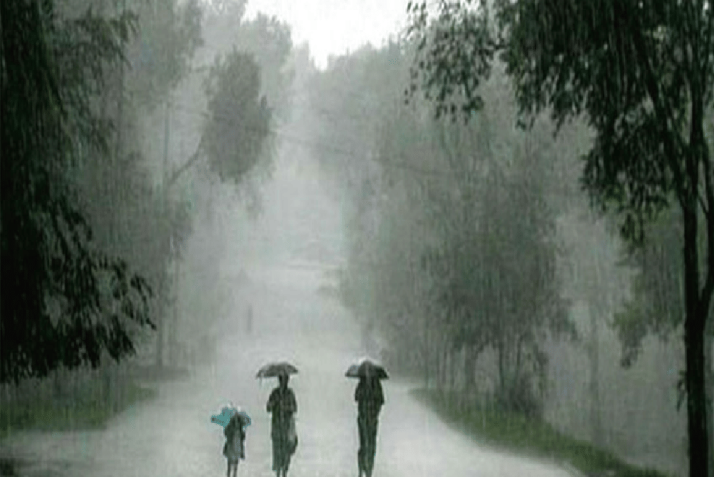 Monsoon to be 'Normal' This Year: IMD