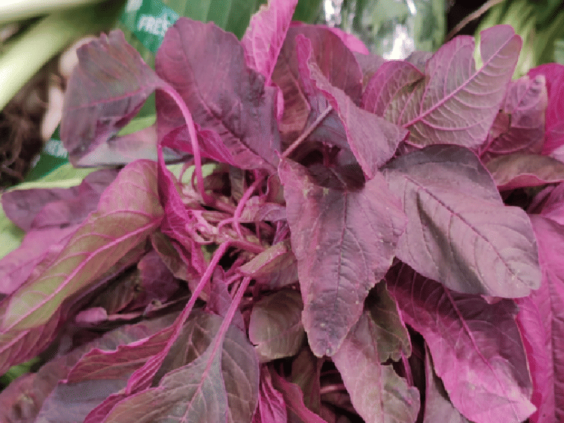 Amaranth Leaves: Here’s Why You Must Start Eating Chaulai