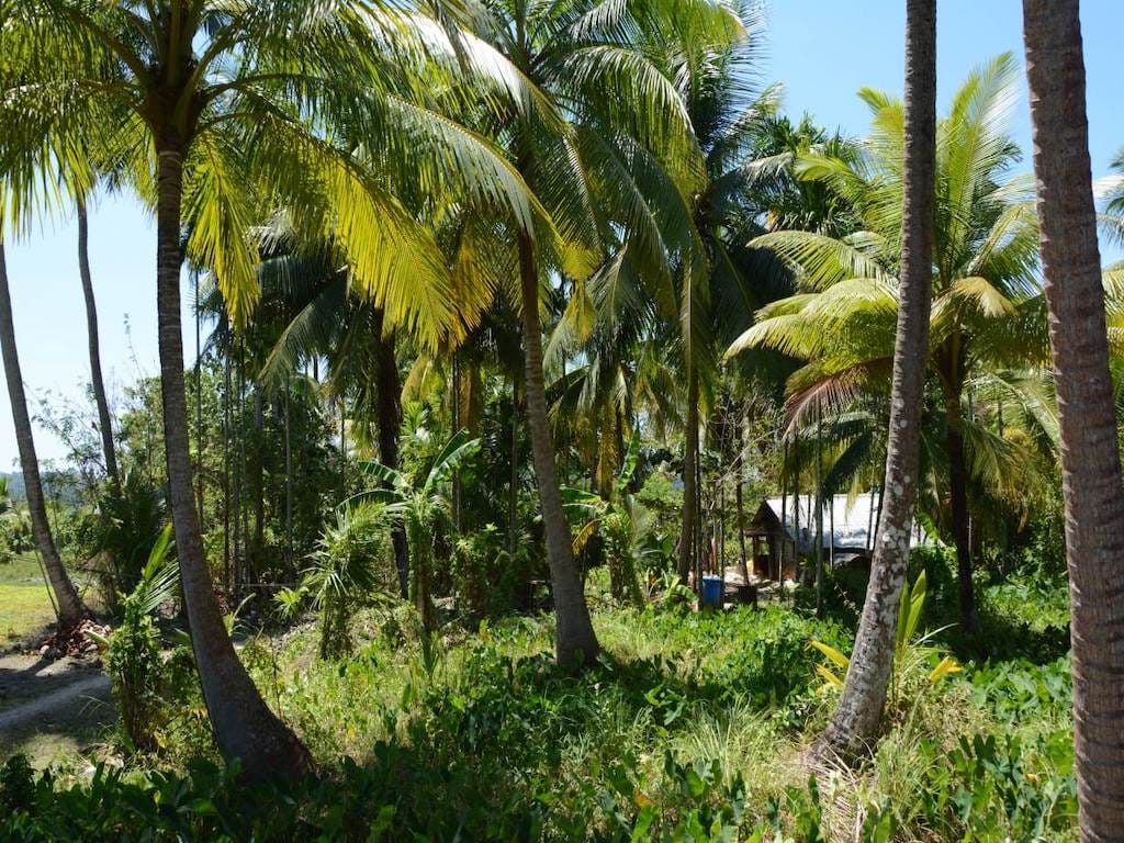 Andaman and Nicobar is the First Major Territory to receive Organic ...