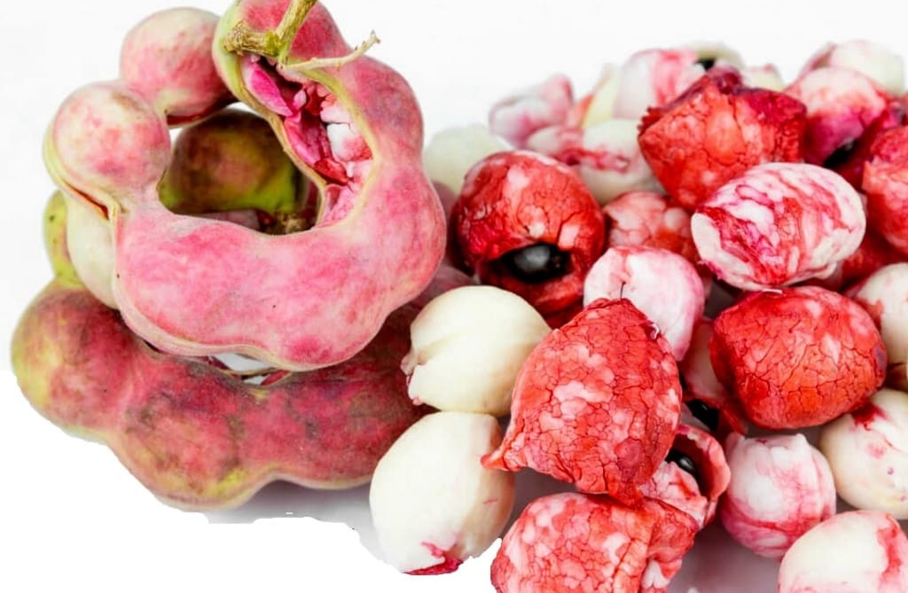 The Magical & Unknown Health Benefits of Jungle Jalebi Fruit