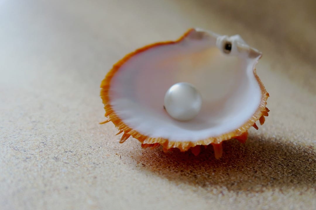 How to Check If a Pearl is Real? 7 Foolproof Ways