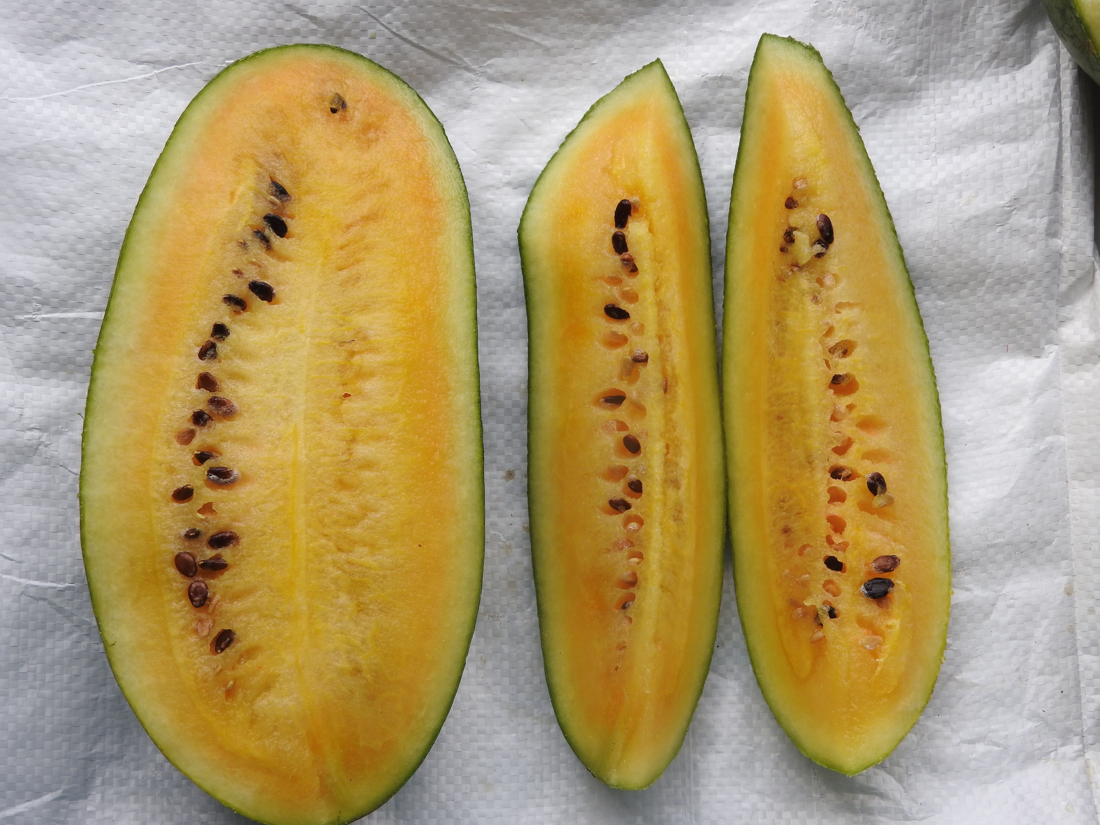 Bayer Launches Yellow Watermelon Variety in India
