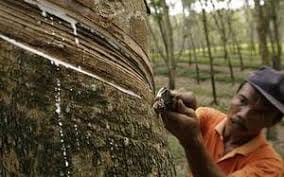 Towards a Sustainable Rubber Value Chain- IRM 2018