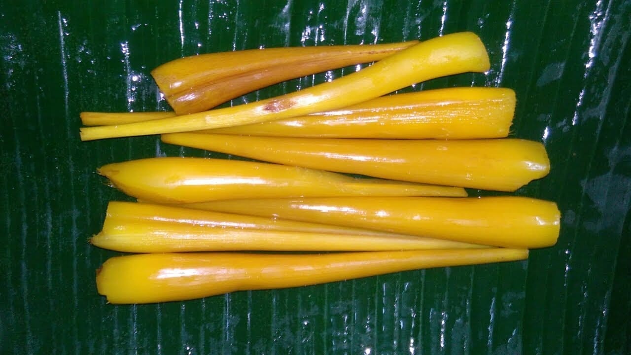 6 Surprising Benefits of Panam Kizhangu (Palmyra Sprout)