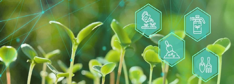 ZEA, a 3D crop scanning tool