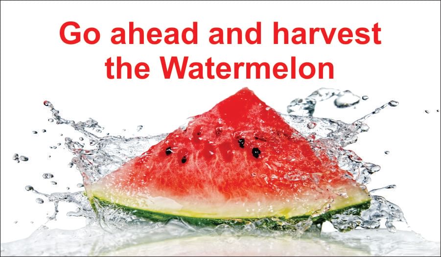 Go ahead and harvest the Watermelon