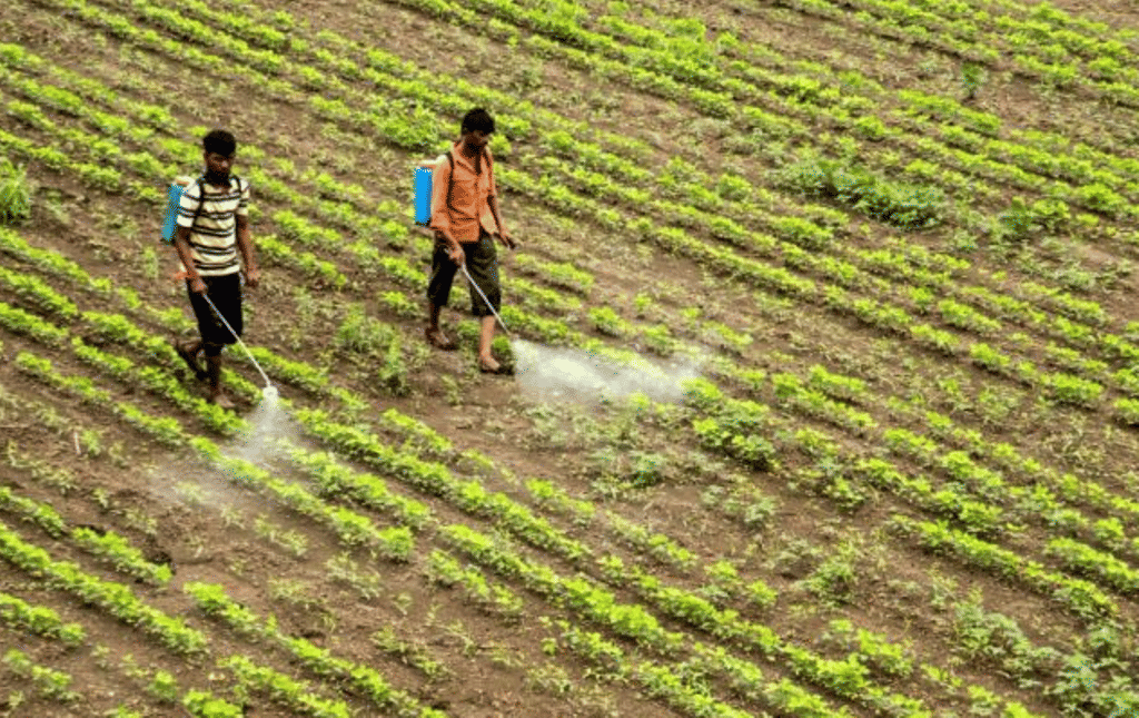 Best Crop Science LLP Becomes First Agrochemical Company in India to ...