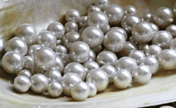 UP Farmer Earns Rs 8 lakh Annually with Pearl Farming