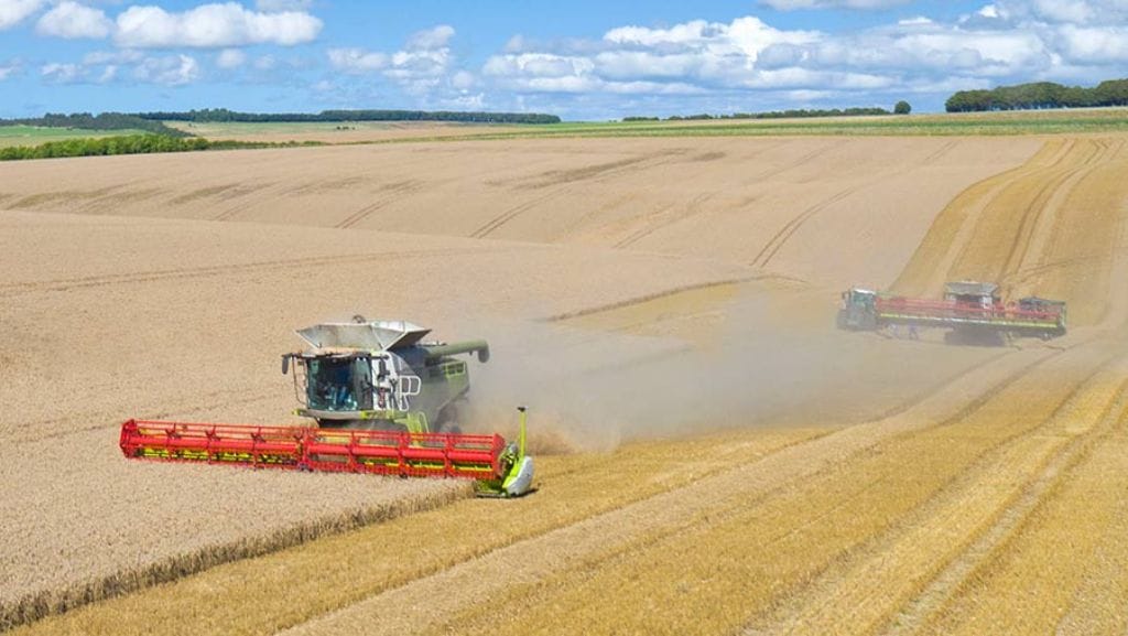 What are Arable Crops and Their Advantages?