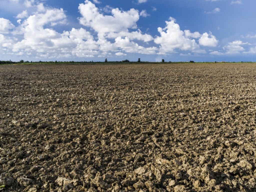 Fallow Ground: Benefits of Fallowing Soil