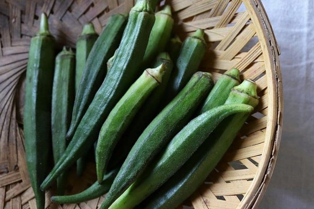 8 Best Vegetables to Grow in Monsoon
