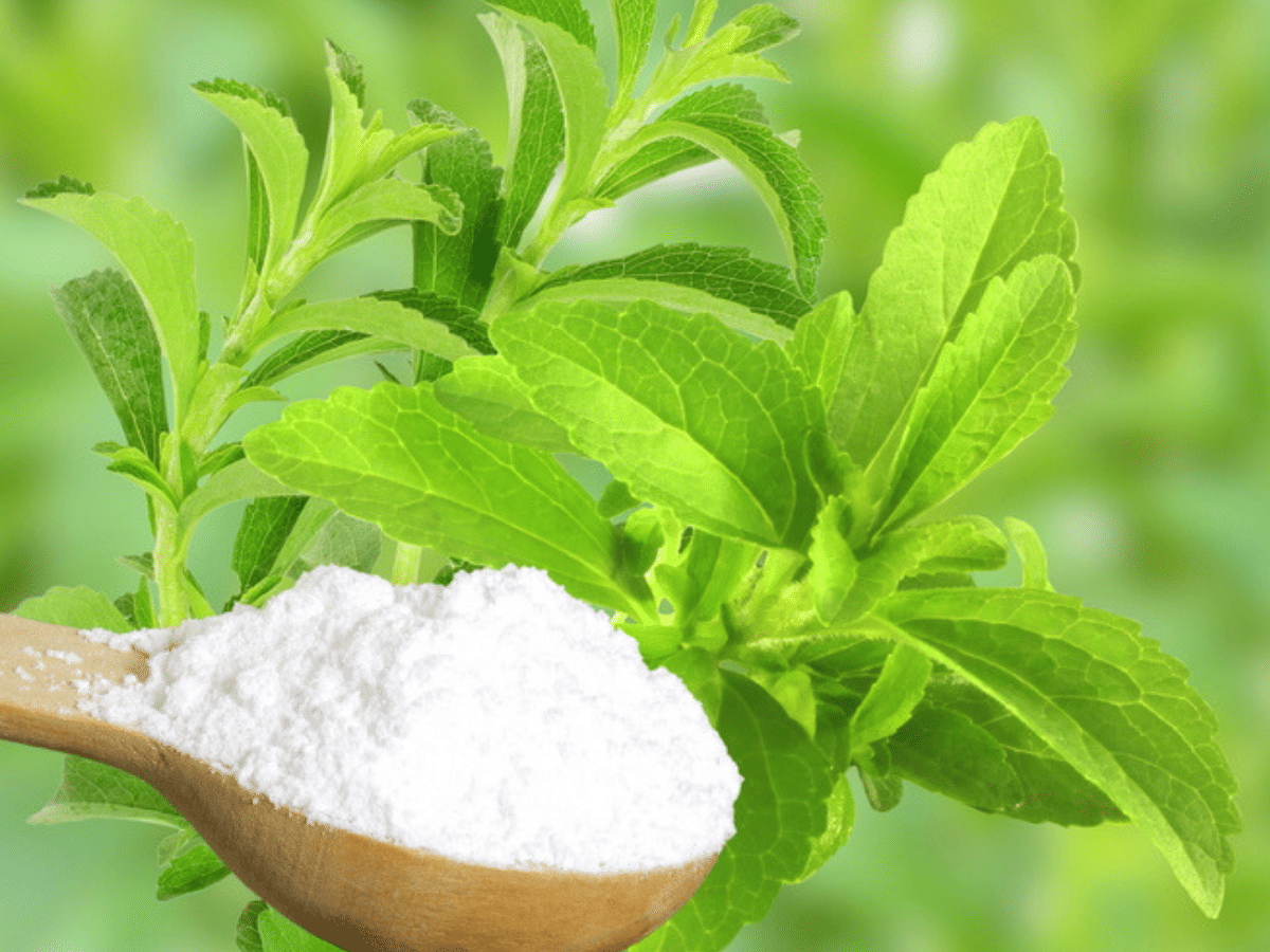 What is Stevia and Is it Safe to Consume?