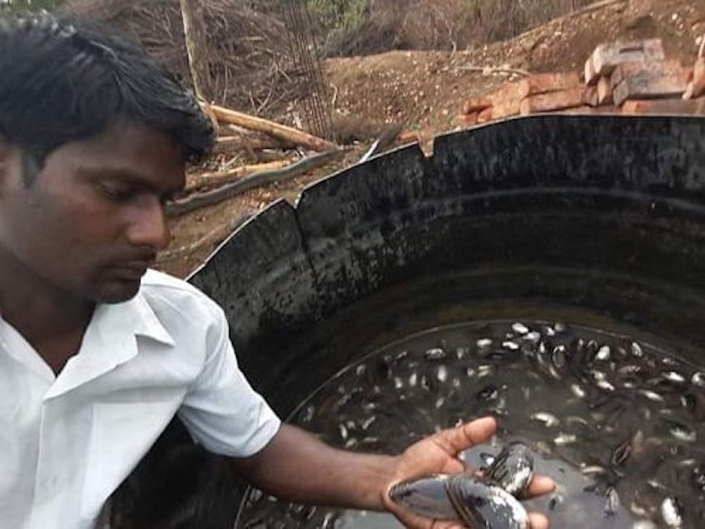 List of Pearl Farming Training Institutes in India