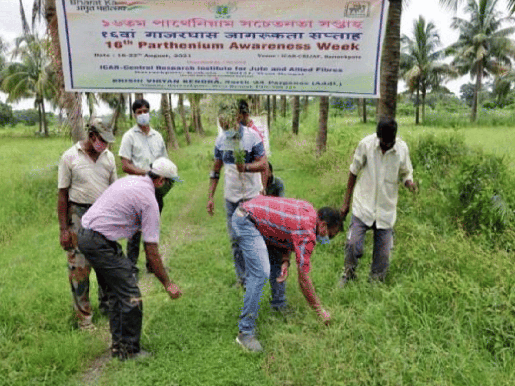 ICAR-CRIJAF Celebrated 16th Parthenium Awareness Week 2021
