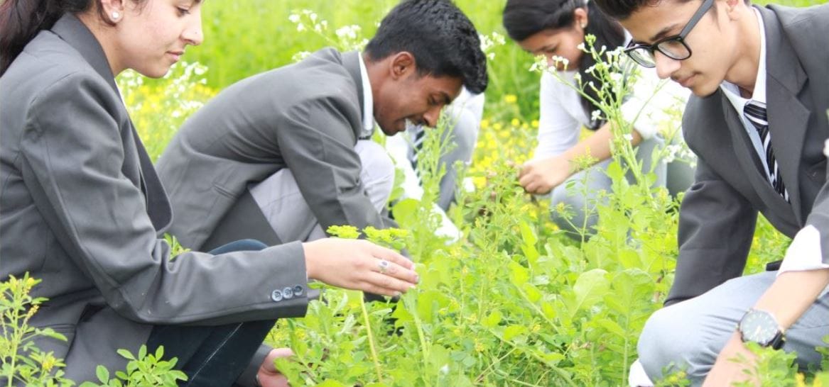 Government to Transform Agri Students into Entrepreneurs; Know Full Scheme