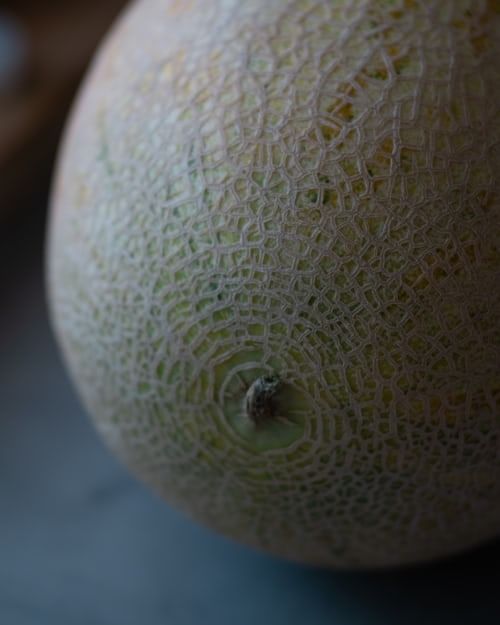 World’s Most Expensive Fruit: Yubari King Melon, Do You Know How Much ...