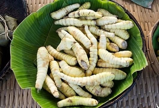 Arrowroot : A Multipurpose Crop