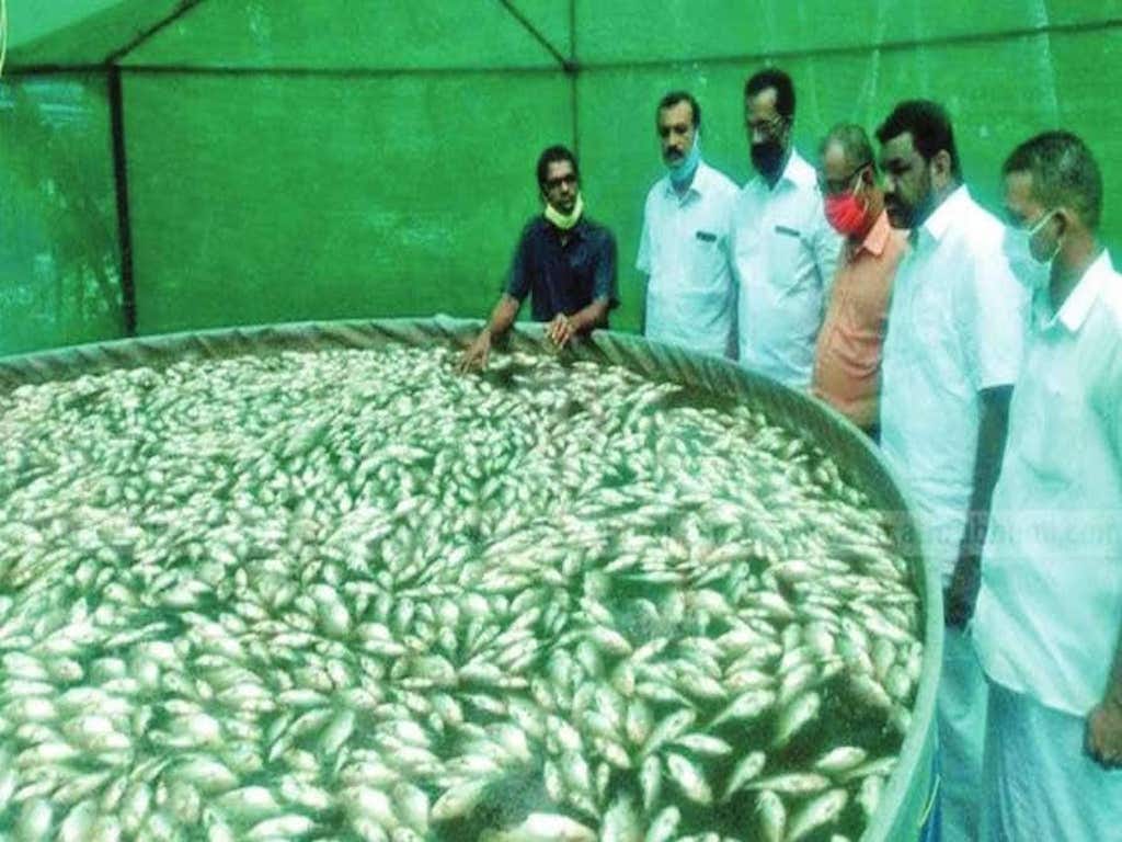 Biofloc Fish Farming Is Gaining Popularity Among Fish Farmers; Training ...