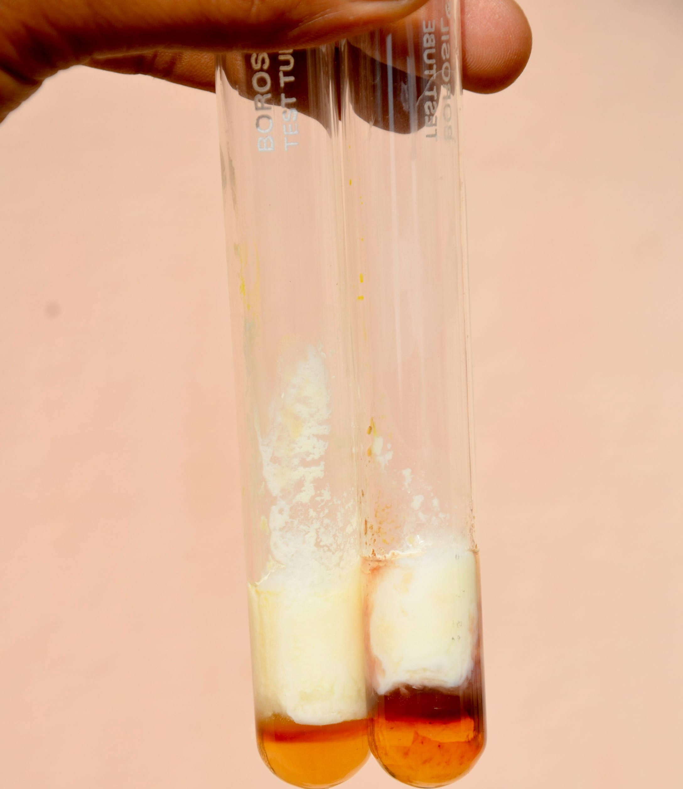 National Milk Day: GADVASU is Organizing Free Milk Adulteration Testing ...