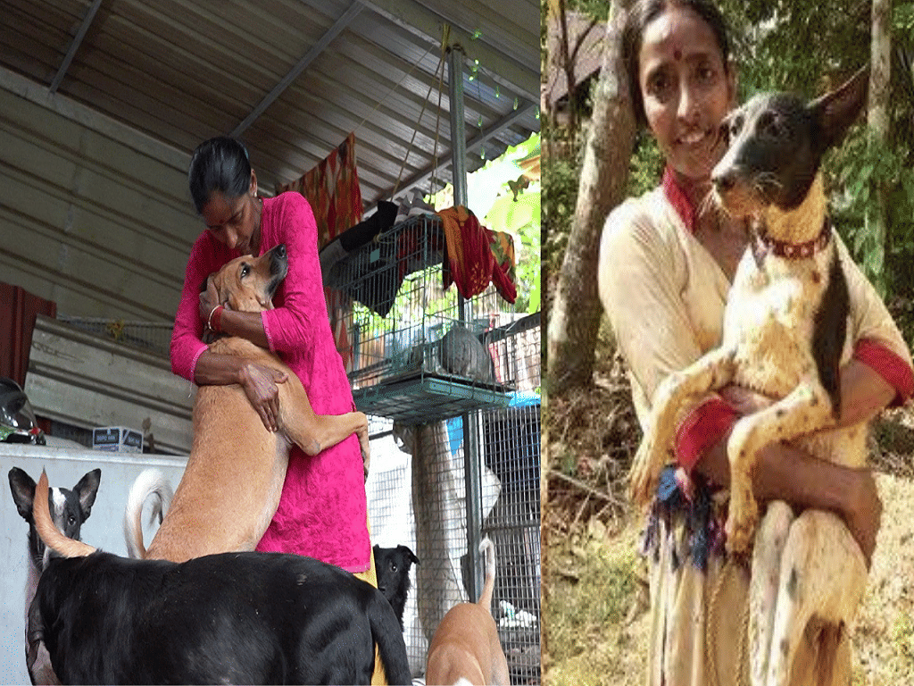 This True Animal Lover Saves 500 Animals Every Day; Hats Off to Her ...