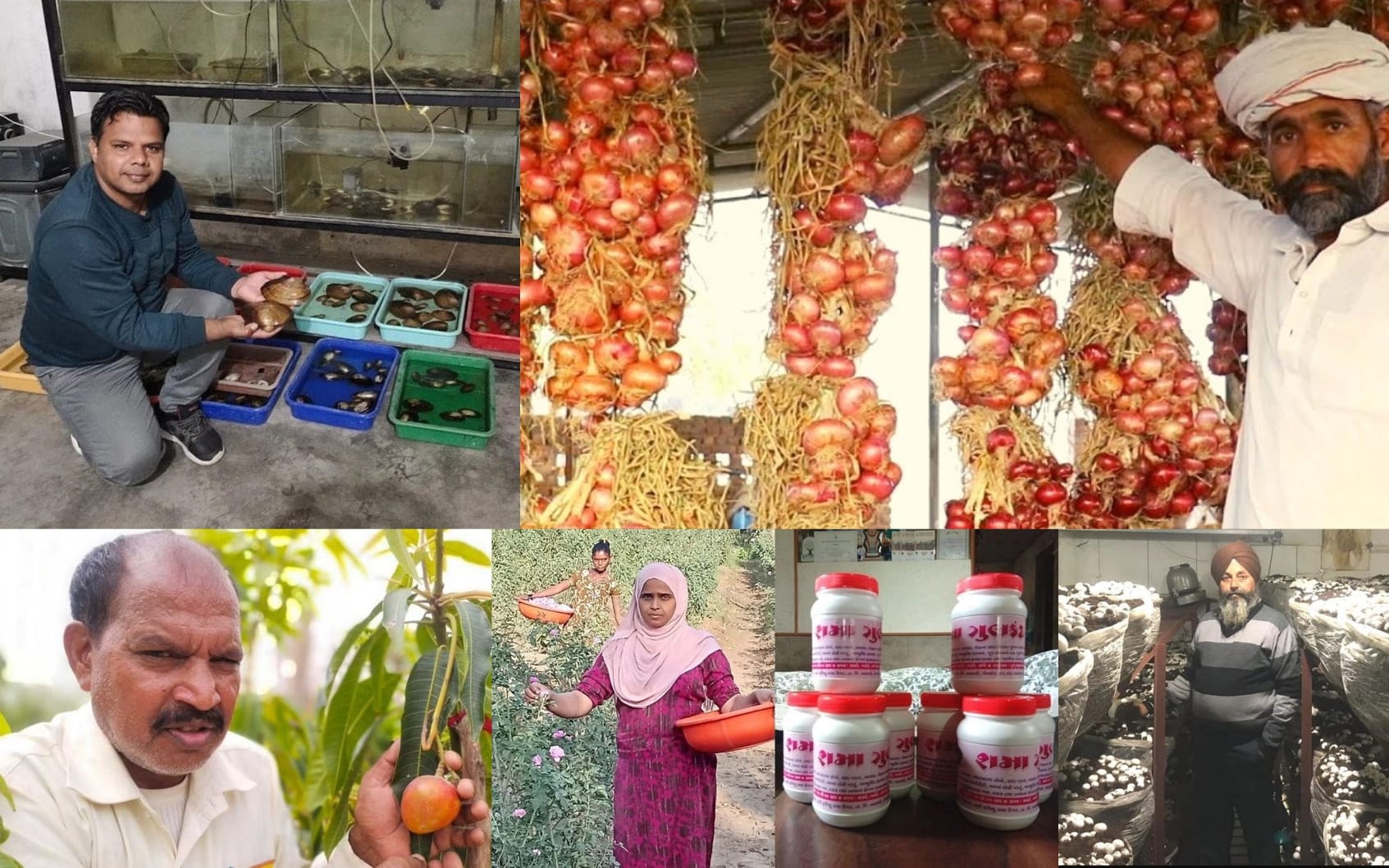 Best of 2021: Progressive Farmers, Whose Innovative Farming Techniques ...