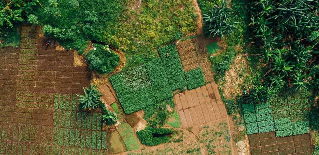 $47.09 Million Grant from ADF for Special Agro-Industrial Processing Zone