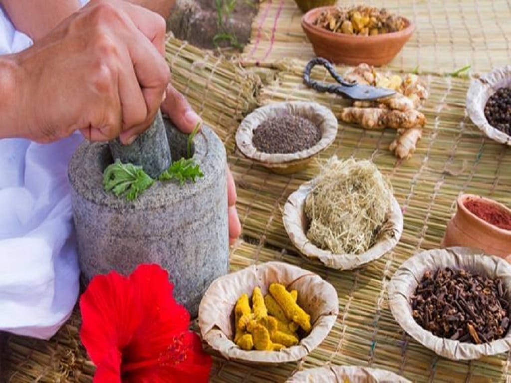 Boost Your Immunity with These 6 Amazing Food Items