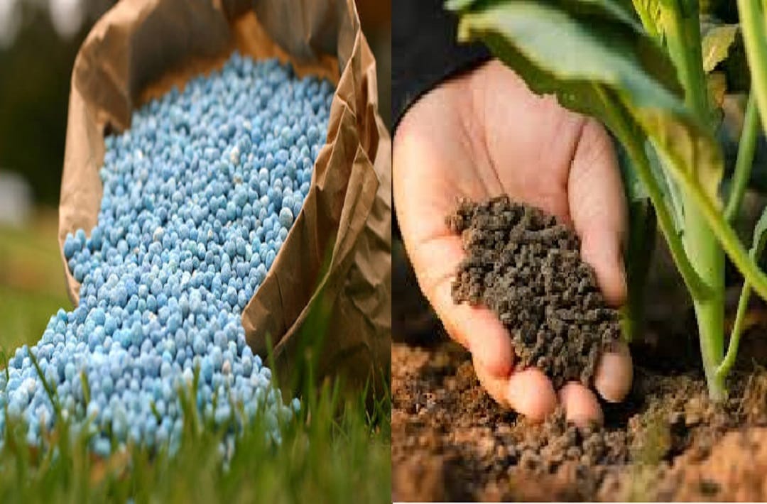 Organic Vs Inorganic Fertilizers: Cost, Composition, Nutrient ...