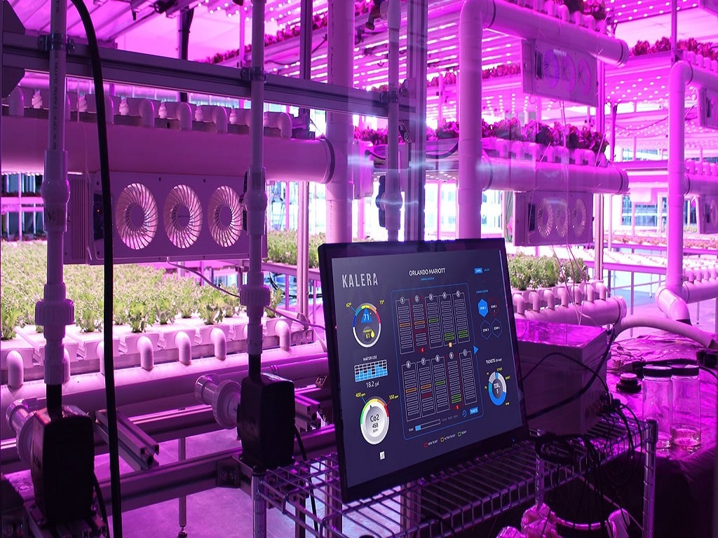Vertical Farming Firm Kalera Looks for Expansion With Plan to Merge ...