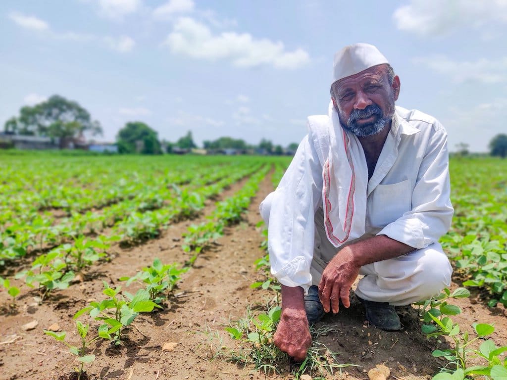 Unseasonal Rainfall Causes Huge Crop Loss; Farmers Seek Compensation
