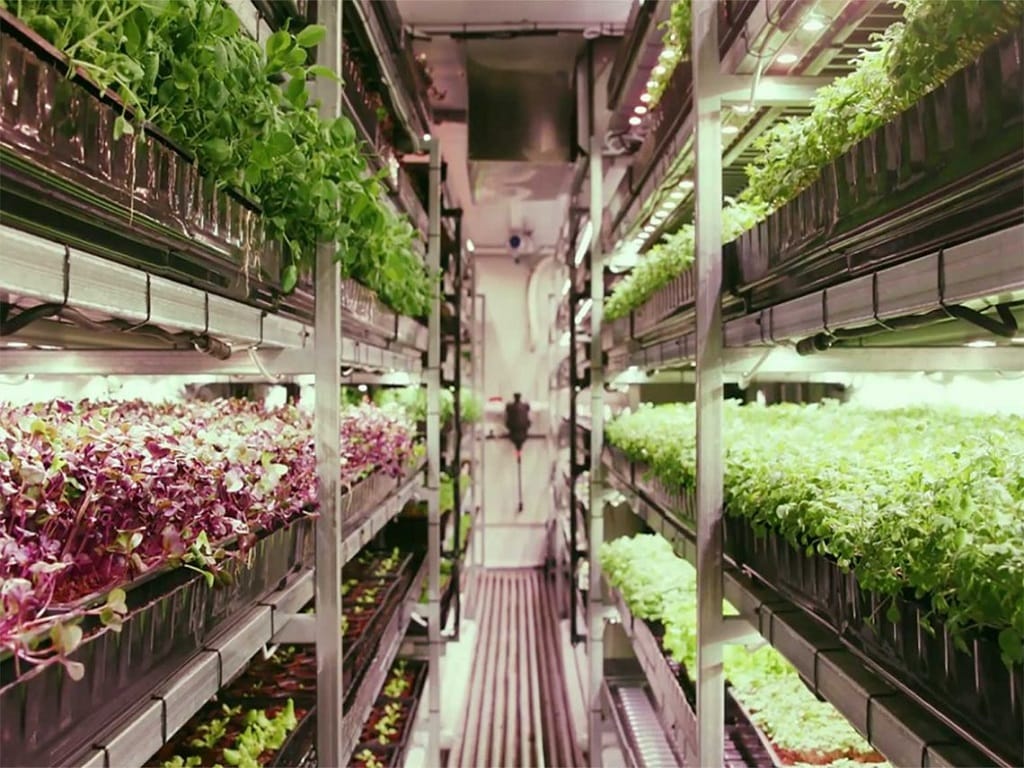 Vertical Farming: An Overview on Different Types of Vertical Farming System