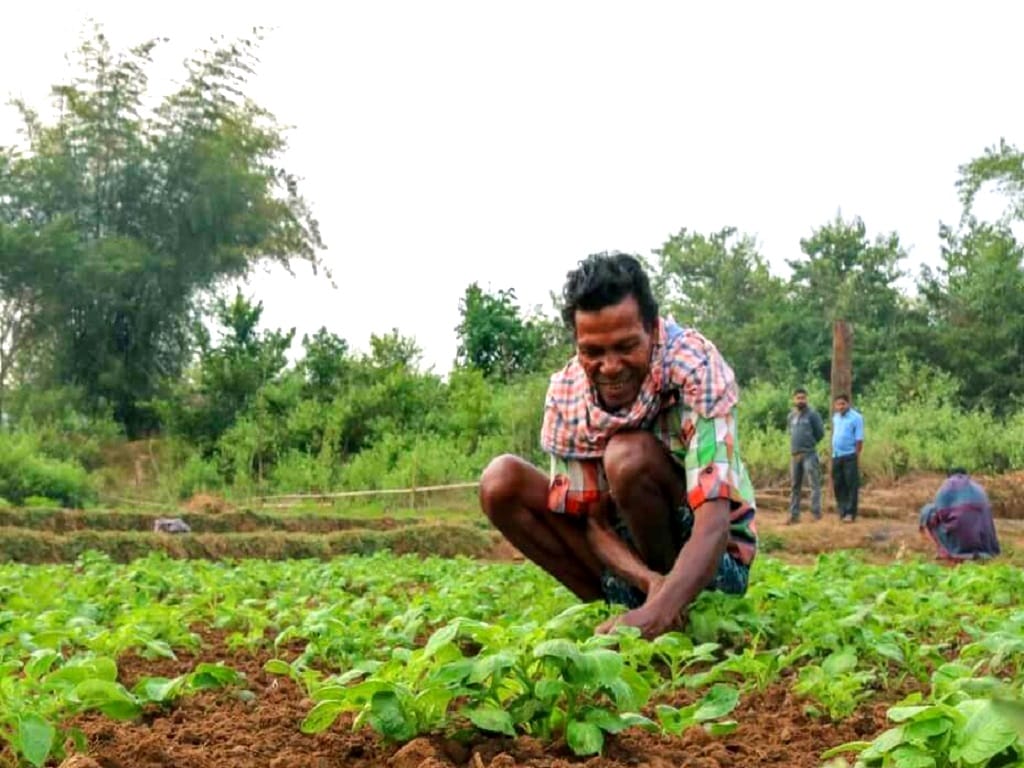 NABARD Introduces 'JIVA' to Promote Natural Farming