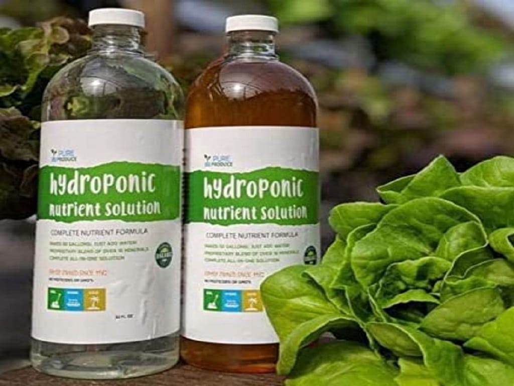 Hydroponic Farming: Determine Best Hydroponic Nutrients with These ...