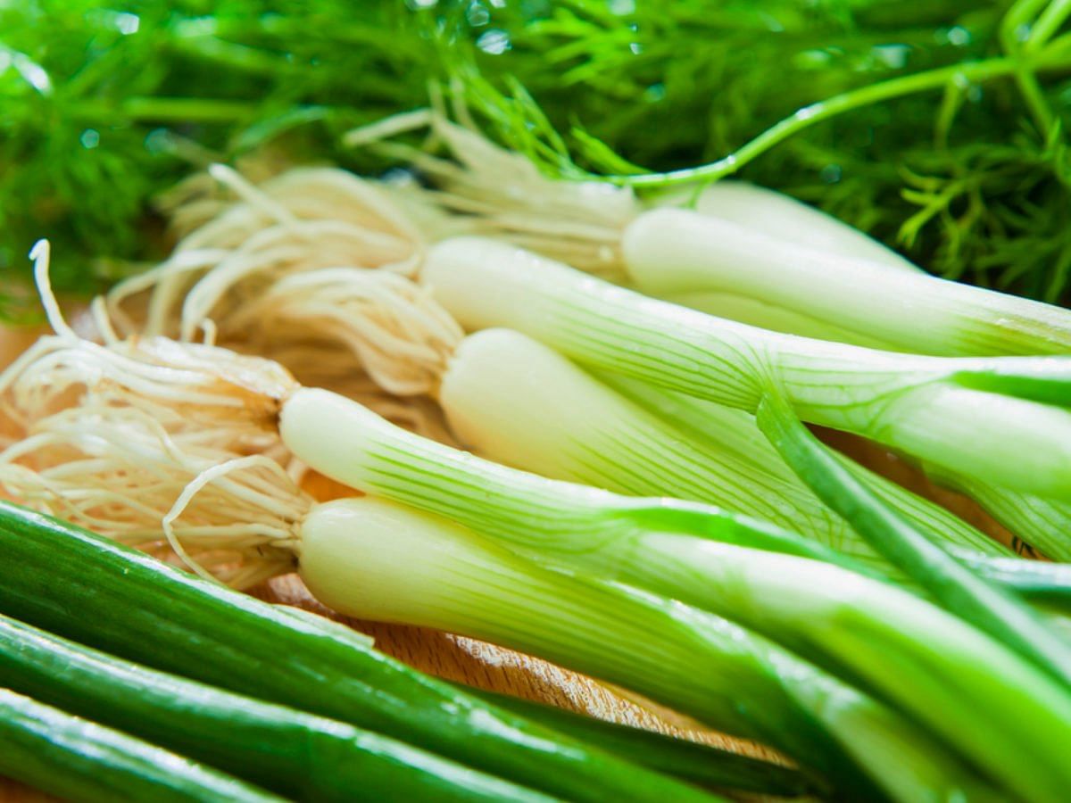 Six Basic Types of Onions Six Basic Types of Onions