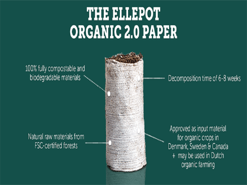 Organic Paper Pots: Horticulture market to Get a Green Push Towards ...