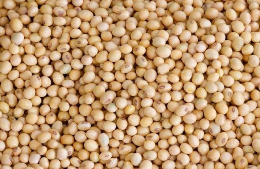 Soymeal Demand Slowing in China